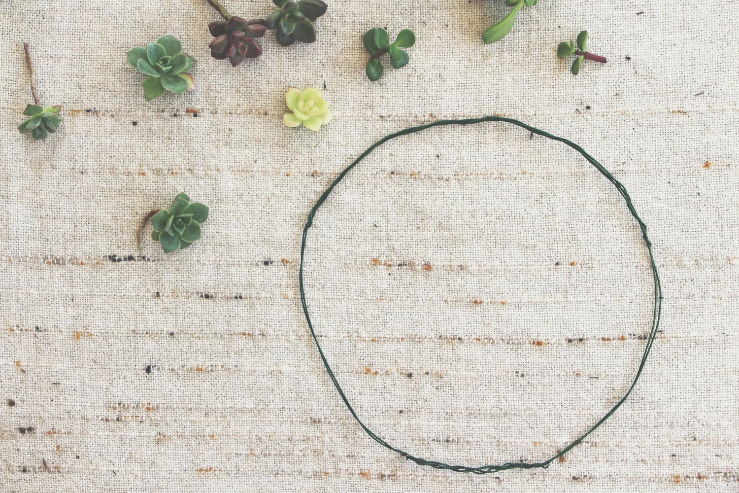DIY Succulent Crown — Needles + Leaves