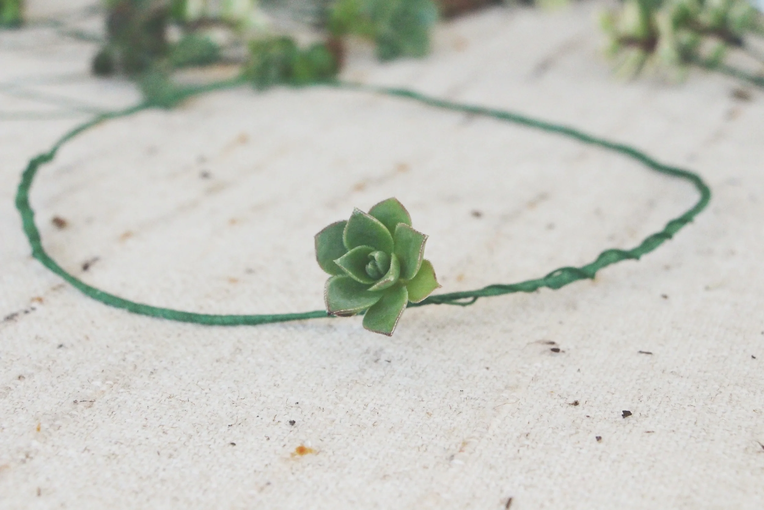 DIY Succulent Crown — Needles + Leaves