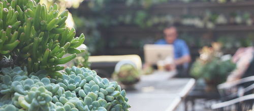 Succulent Cafe Oceanside: A Living Masterpiece — Needles + Leaves