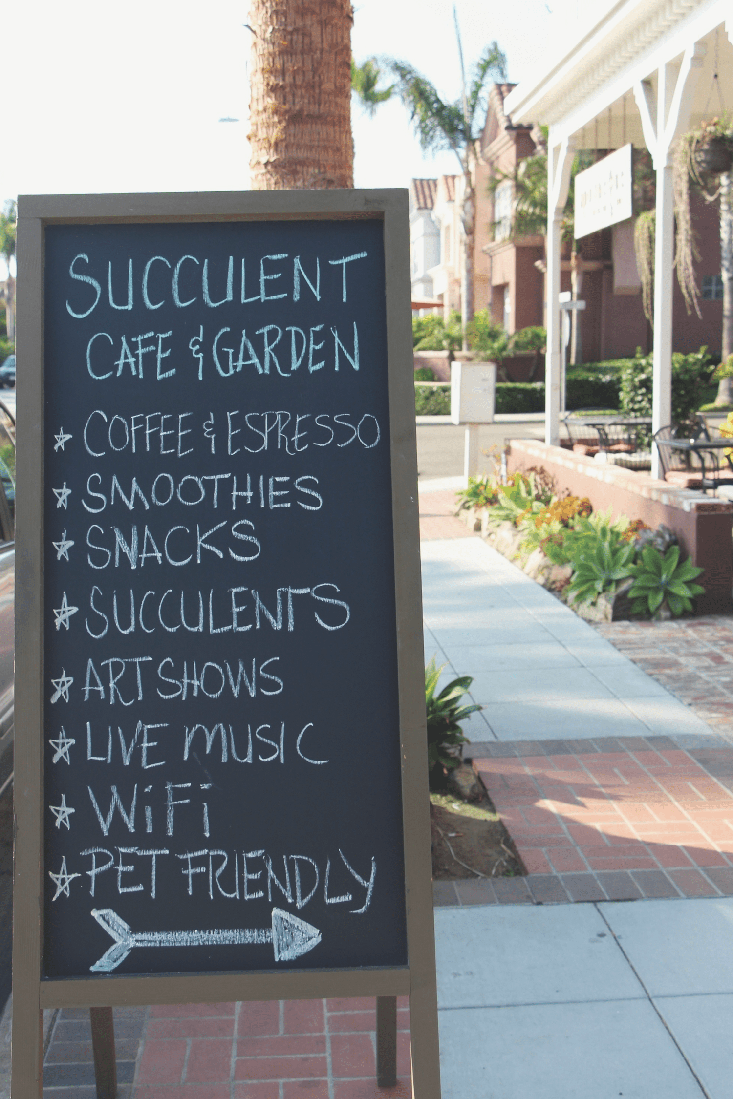 Succulent Cafe Oceanside: A Living Masterpiece — Needles + Leaves