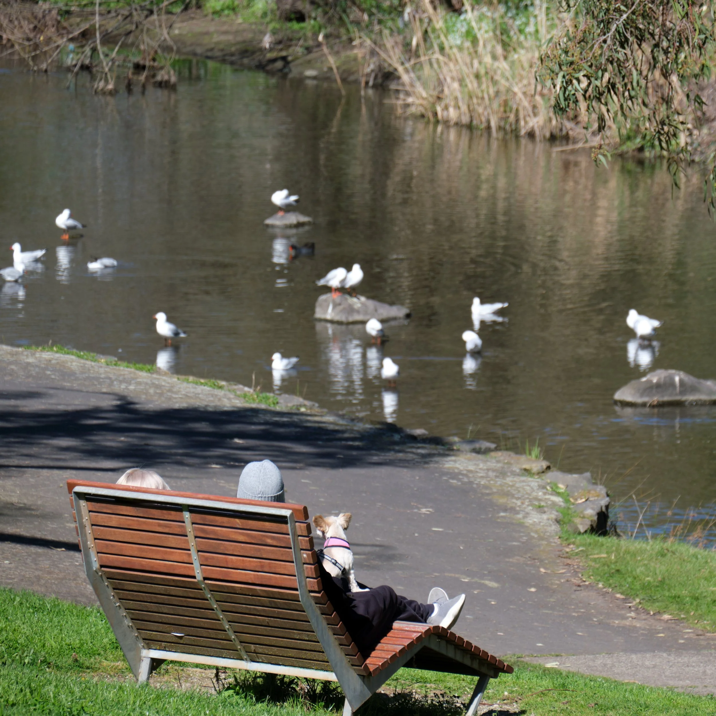 Random Tangent (Blog) — Insanity Works