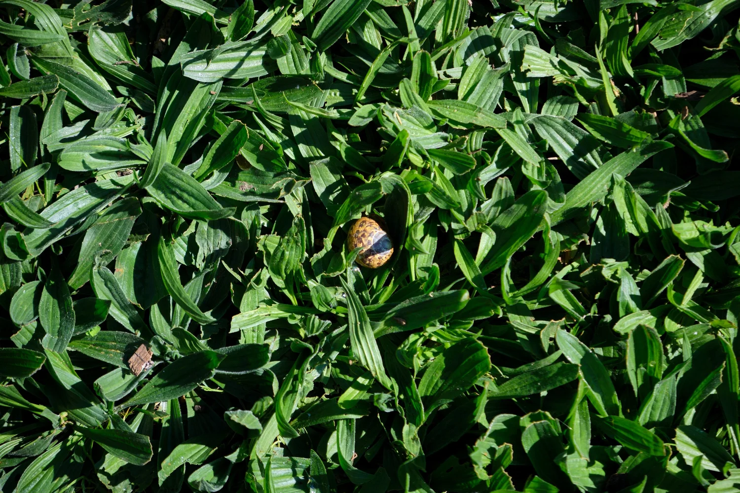 Random Tangent (Blog) — Insanity Works