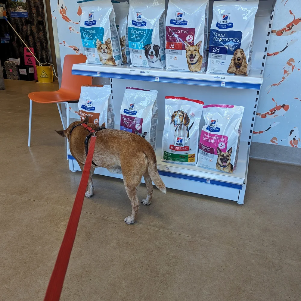 Random Tangent (Blog) — Insanity Works