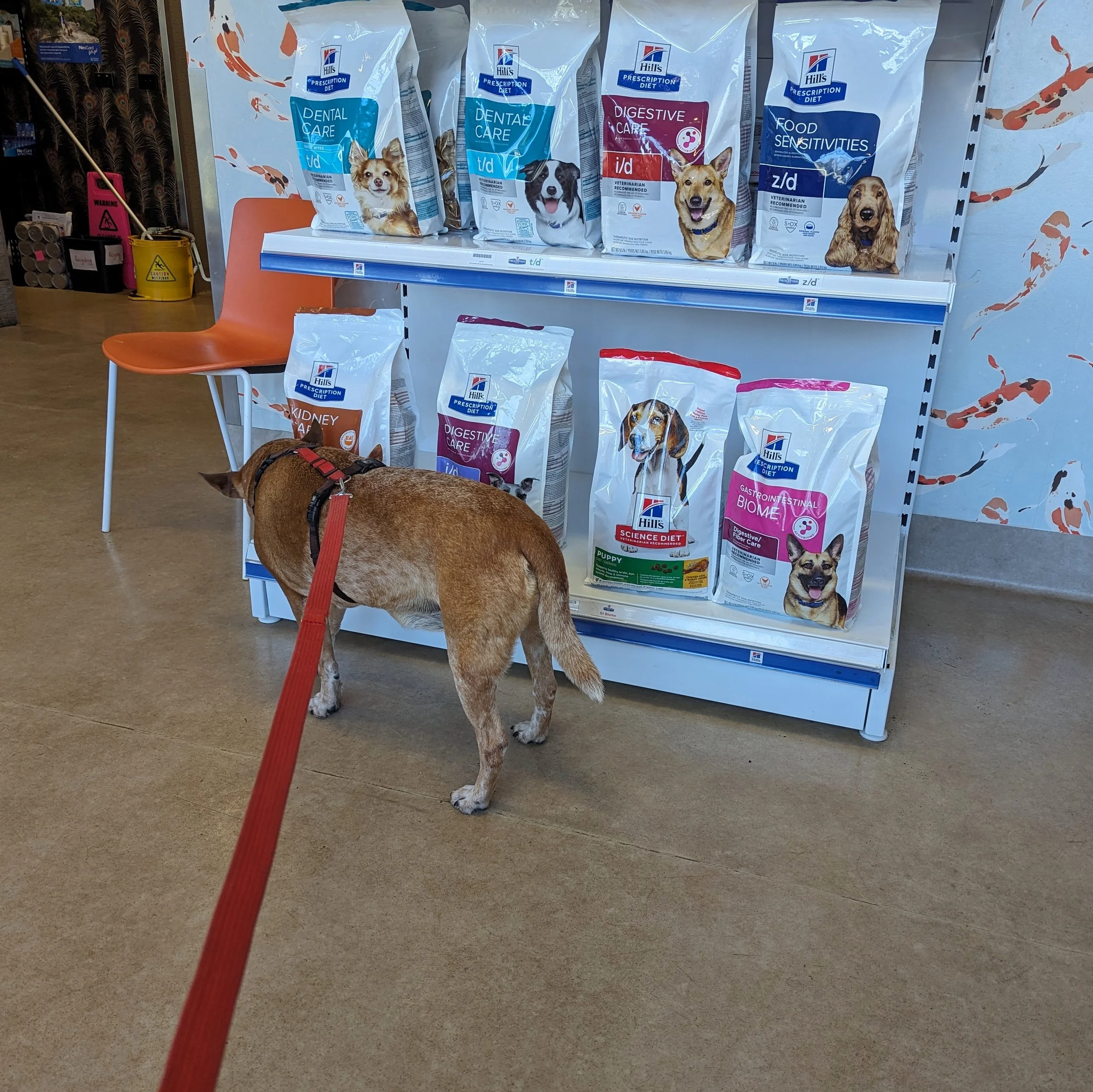 Random Tangent (Blog) — Insanity Works