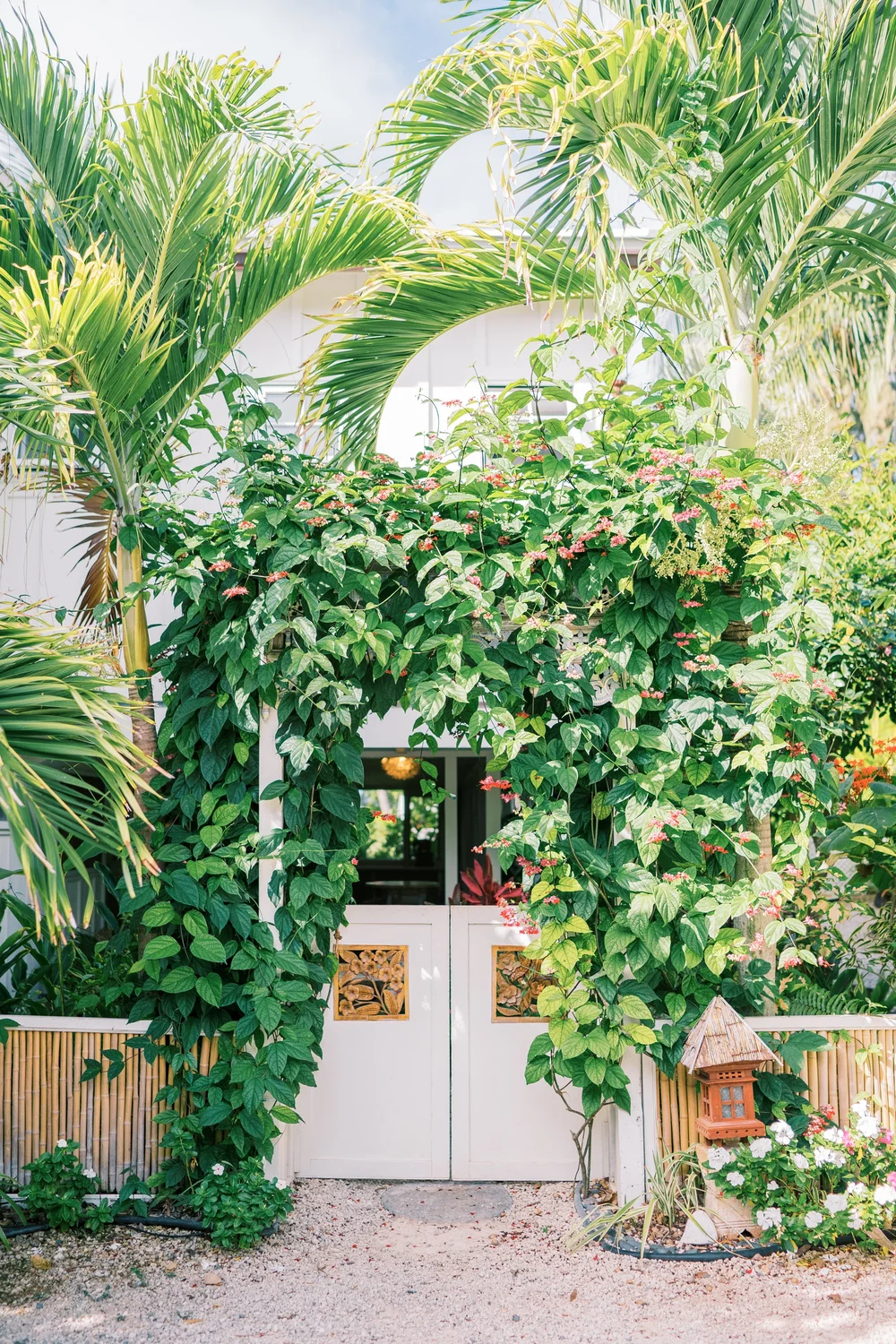 Photo Shoot Venue — Male'ana Gardens
