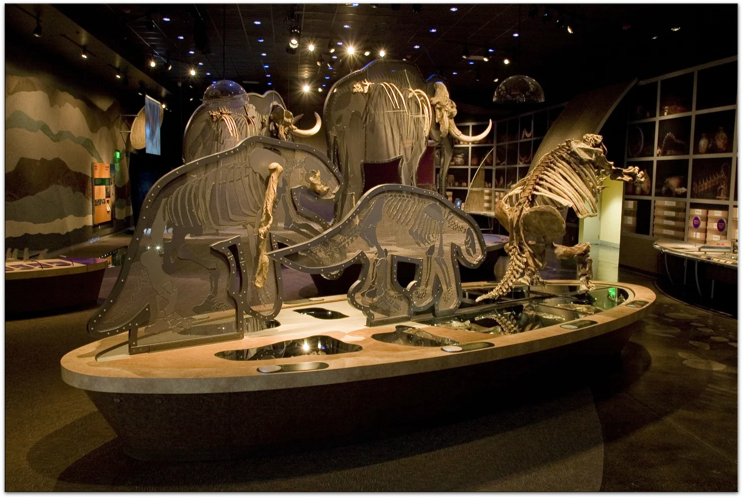 Western Center for Paleontology and Archaeology, Interpretive Exhibit ...