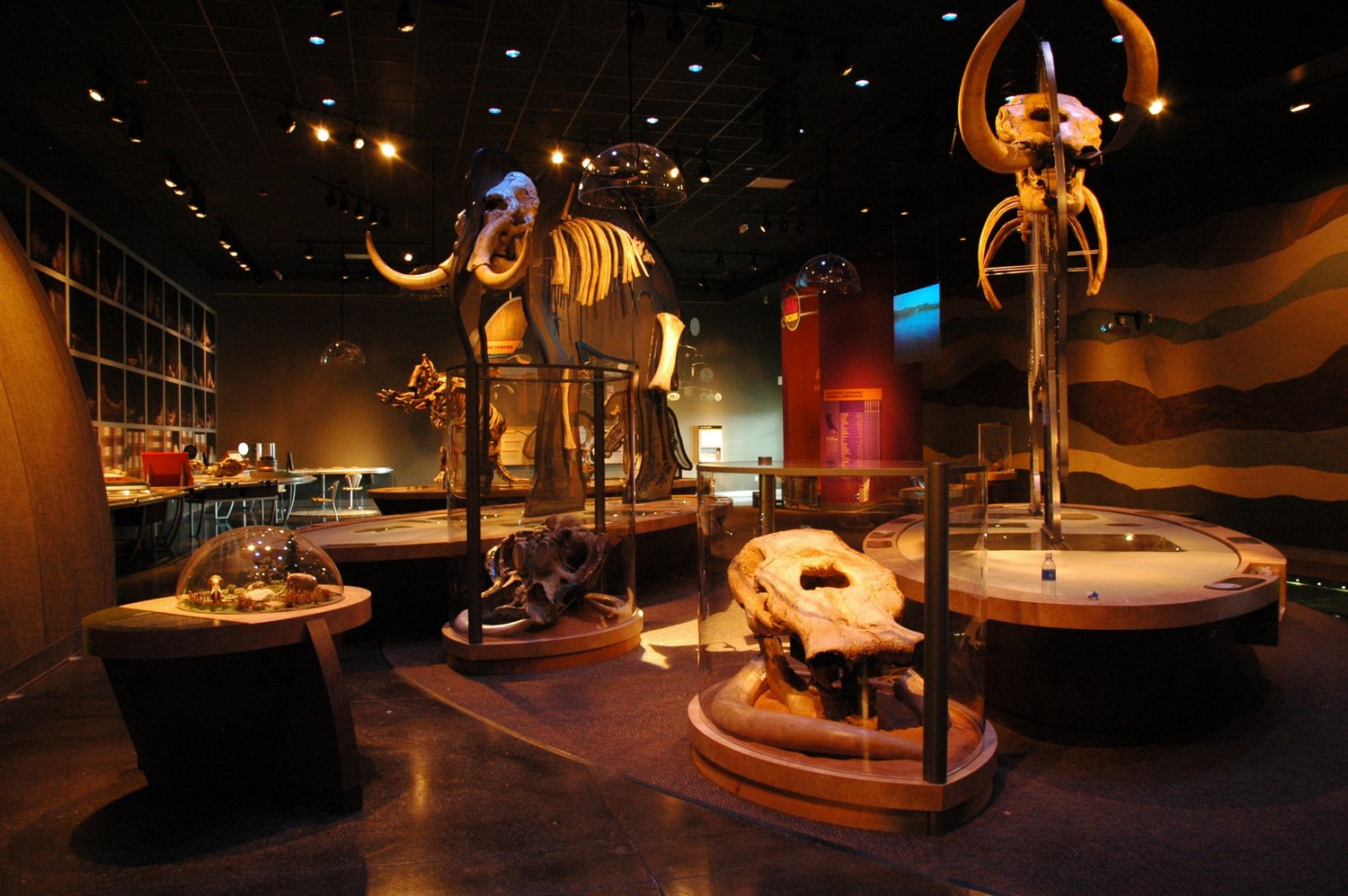 Western Center for Paleontology and Archaeology, Interpretive Exhibit ...
