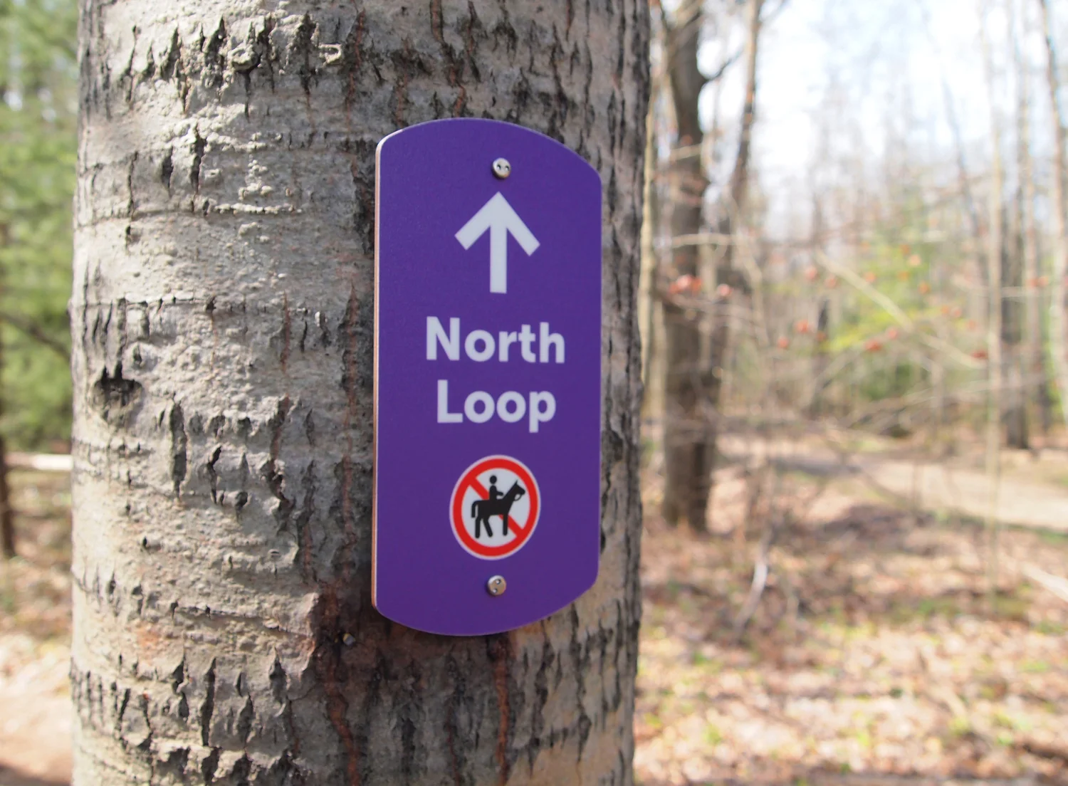 Midland City Forest Trail Wayfinding System — Gene Ullery-Smith ...