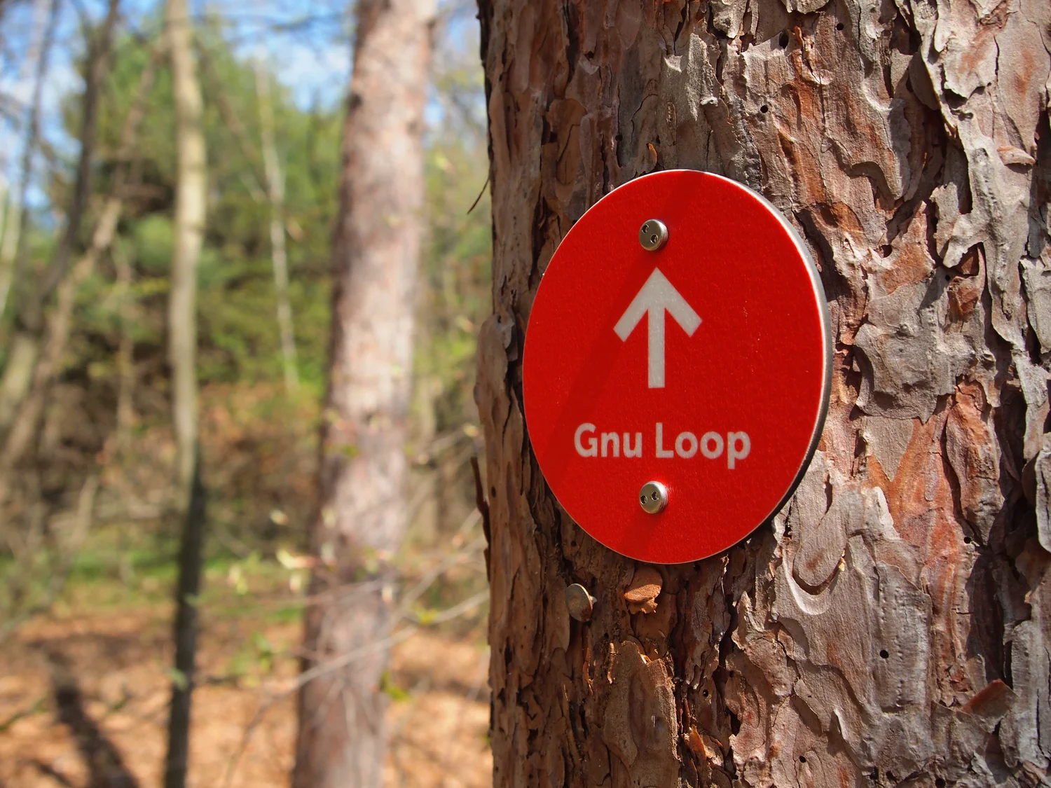 Midland City Forest Trail Wayfinding System — Gene Ullery-Smith ...
