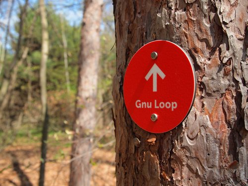 Midland City Forest Trail Wayfinding System — Gene Ullery-Smith ...