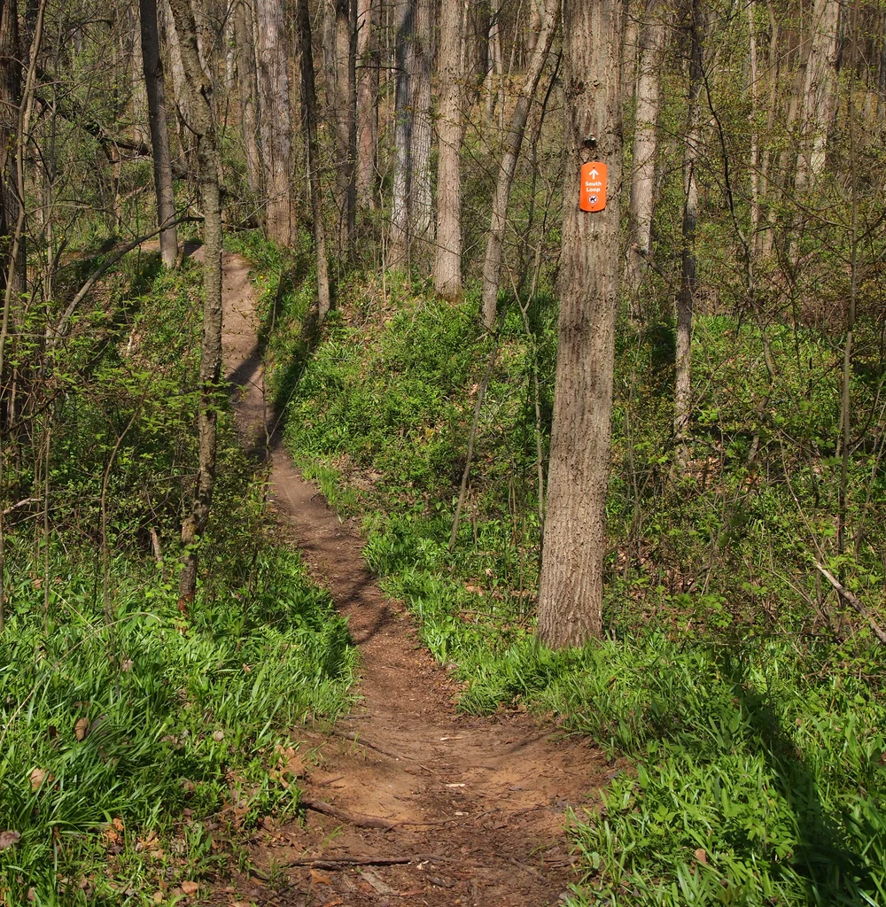 Midland City Forest Trail Wayfinding System — Gene Ullery-Smith ...