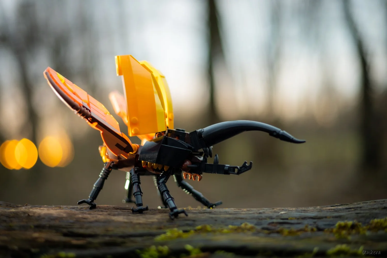 LEGO Contest Round-Up for October 2024 - BrickNerd - All things LEGO ...