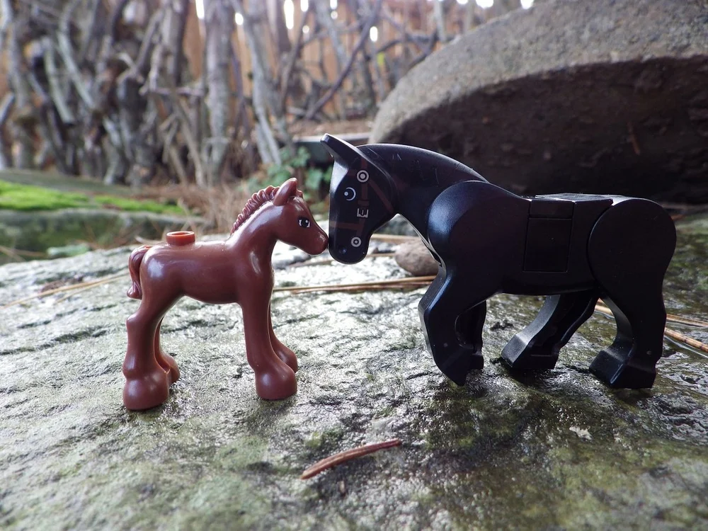 No Horsing Around: More Than You Ever Wanted To Know About LEGO Horses ...