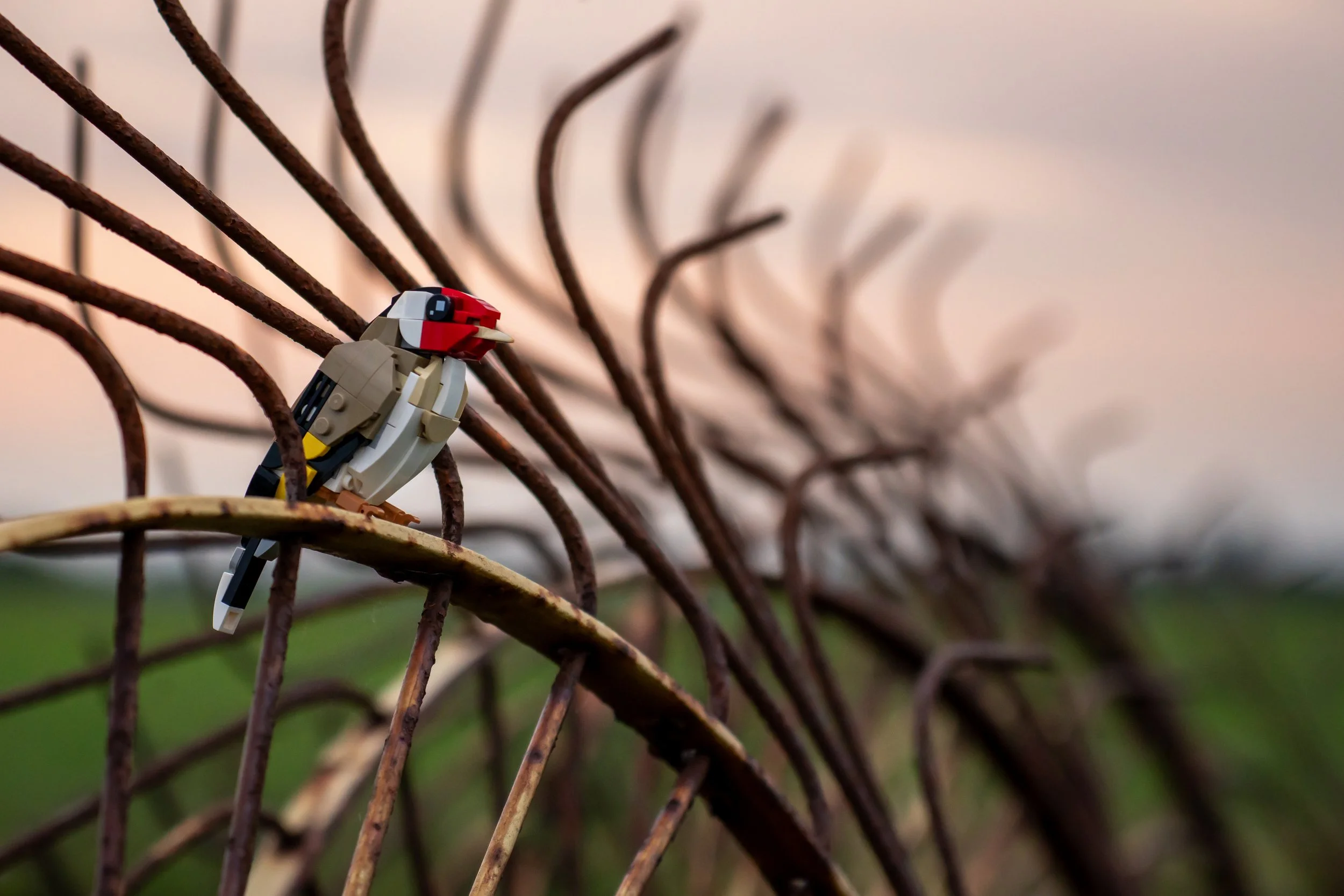 Feathered Friends: Bram’s Beautiful LEGO Birds - BrickNerd - All things ...