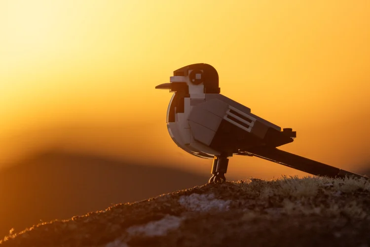 Feathered Friends: Bram’s Beautiful LEGO Birds - BrickNerd - All things ...