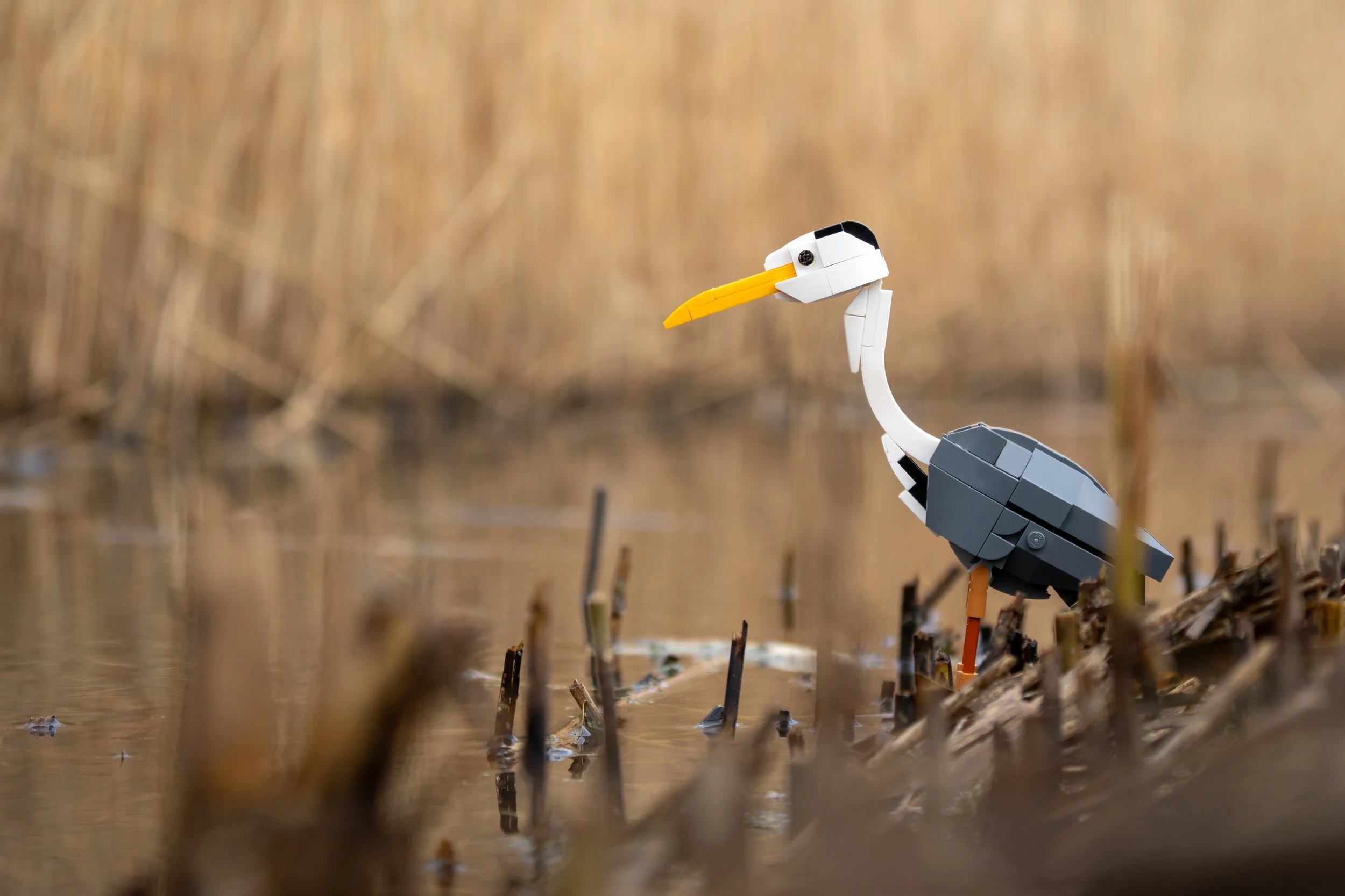Feathered Friends: Bram’s Beautiful LEGO Birds - BrickNerd - All things ...