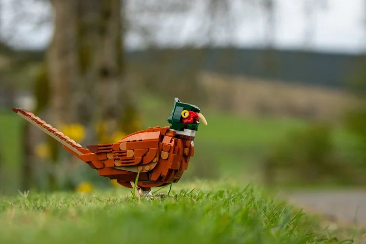 Feathered Friends: Bram’s Beautiful LEGO Birds - BrickNerd - All things ...