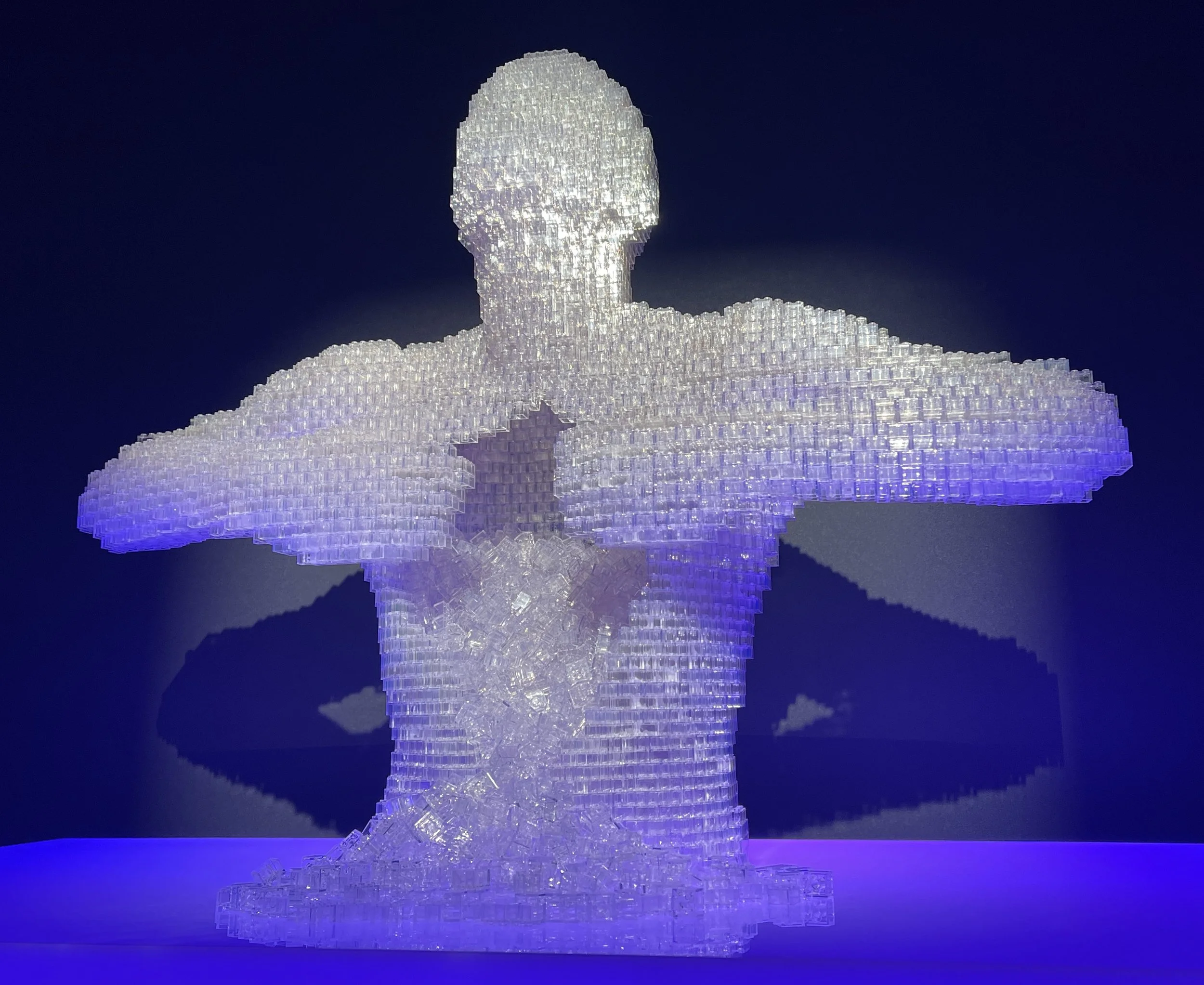 Festival of the Brick 2024: An Australian LEGO Adventure - BrickNerd ...