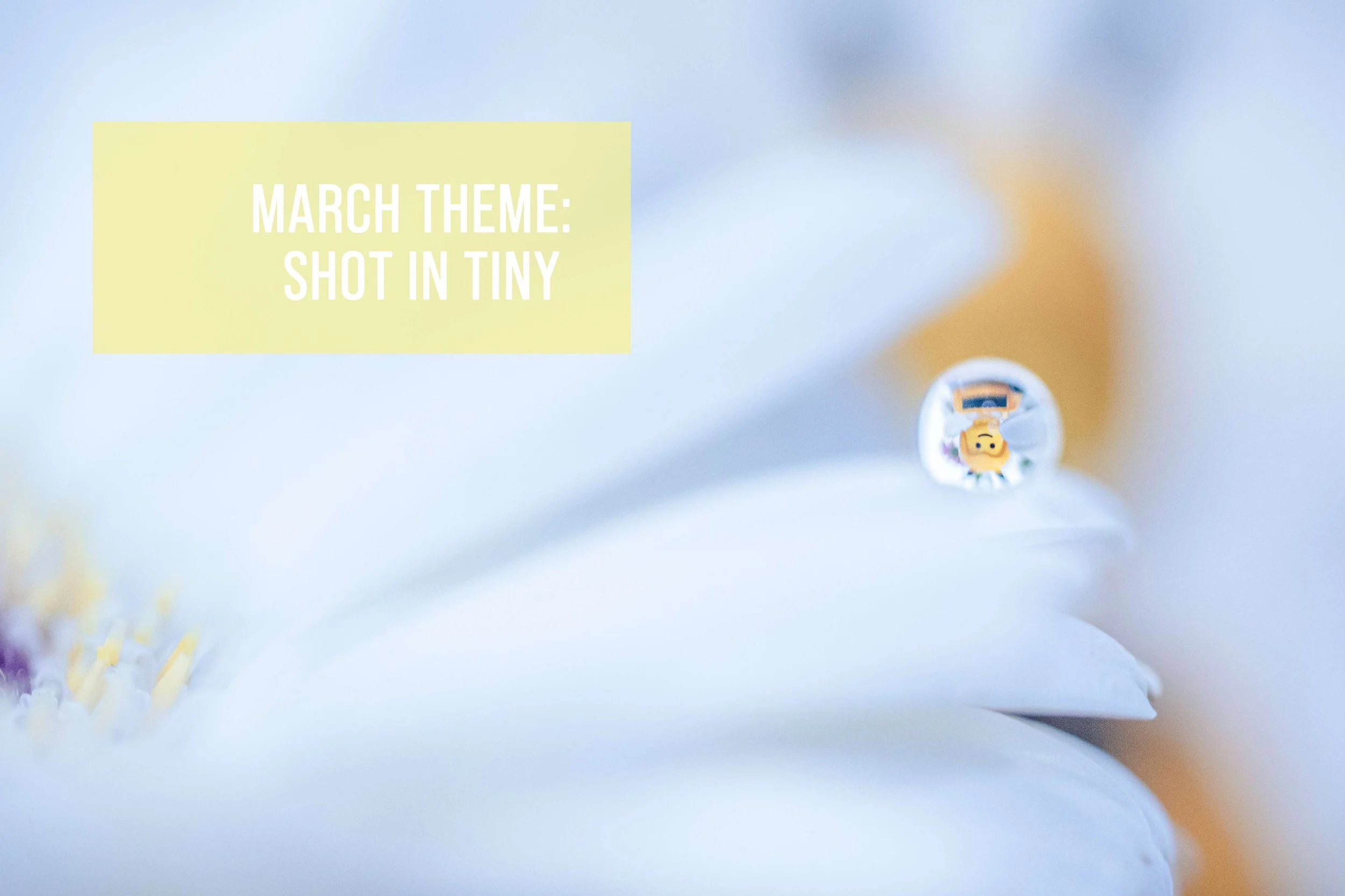 LEGO Contest Round-Up for March 2024 - BrickNerd - All things LEGO and ...