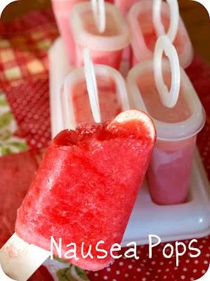 Got Morningsickness? Try These Anti- Nausea Popsicles — Holistically Loved