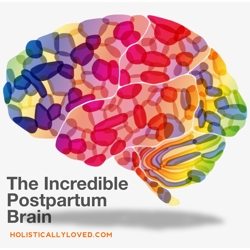 The Incredible Postpartum Brain — Holistically Loved
