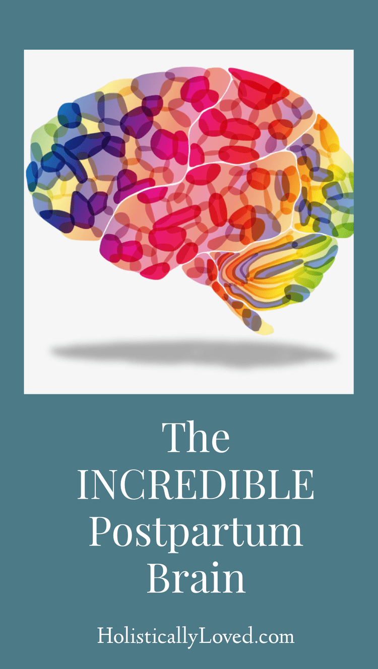 The Incredible Postpartum Brain — Holistically Loved