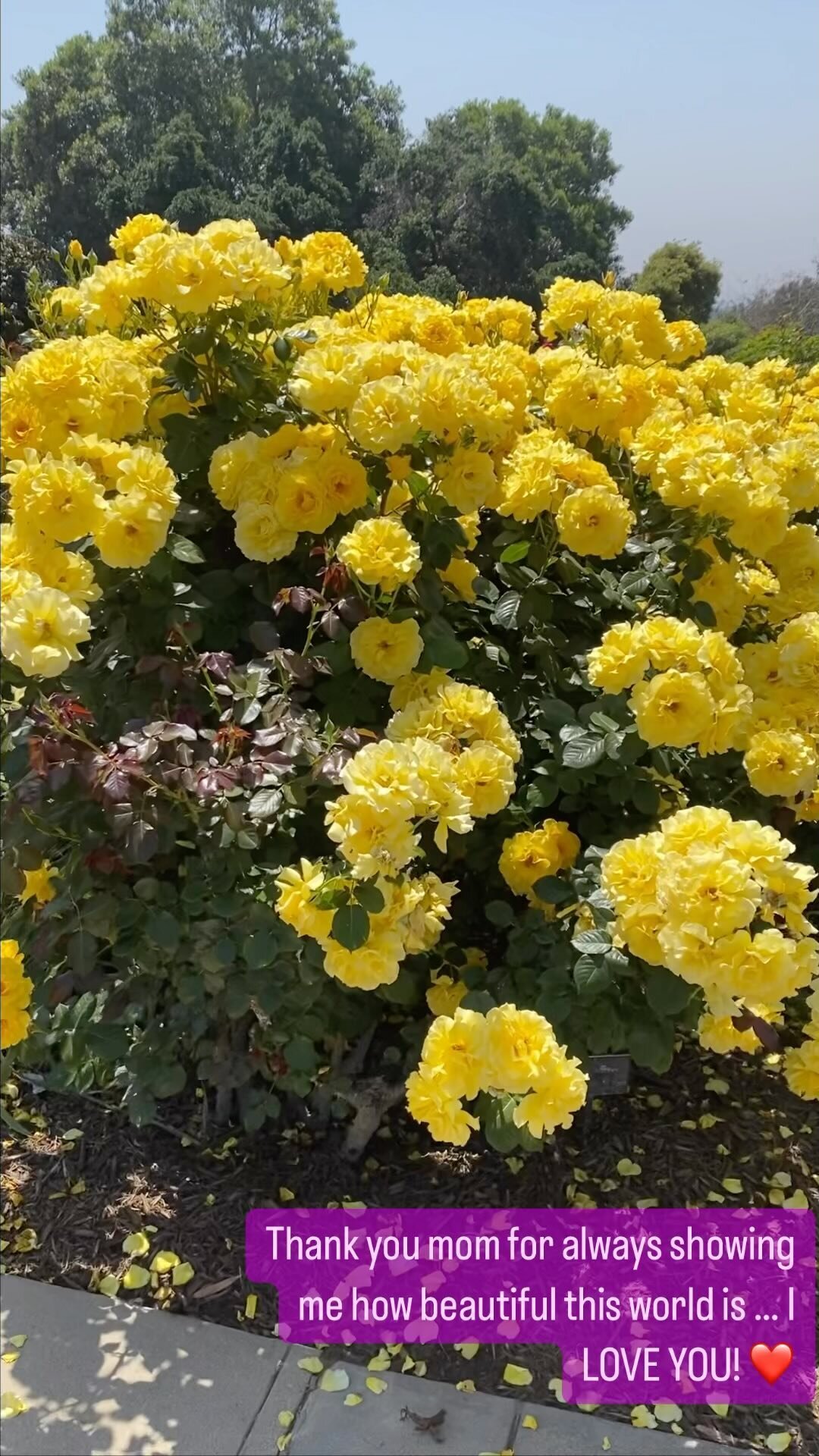 13 of theBest TED Talks on Childbirth and Pregnancy — Holistically Loved