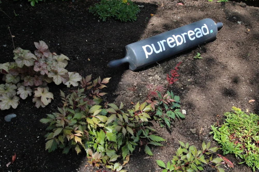 Pure Goodness at Purebread Bakery — FEAST: An Edible Road Trip