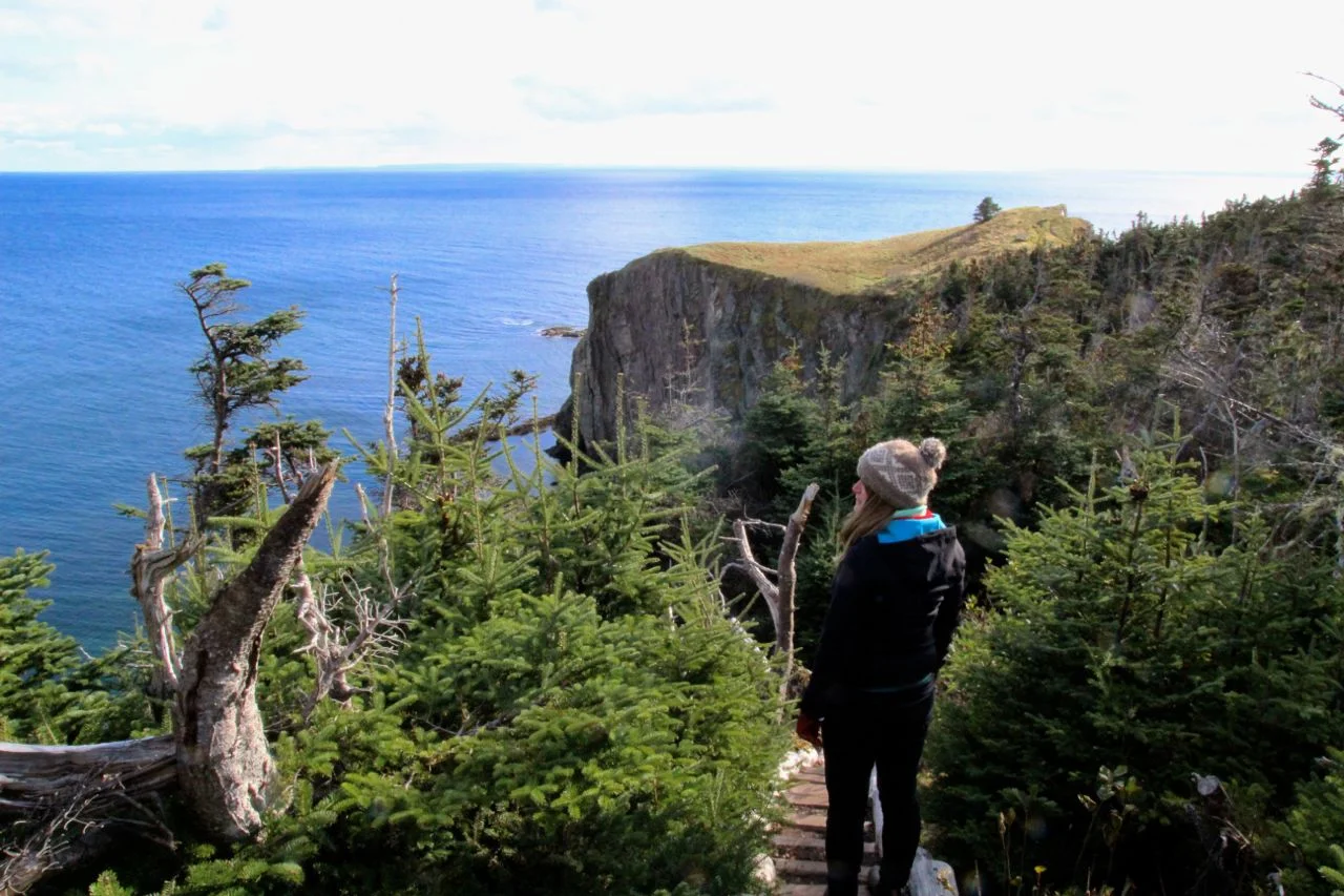 Capelin and Cod Tongues — FEAST: An Edible Road Trip