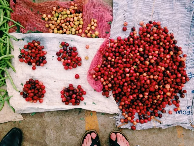 Sri Lanka: Kandy, Kandy, Kandy — FEAST: An Edible Road Trip