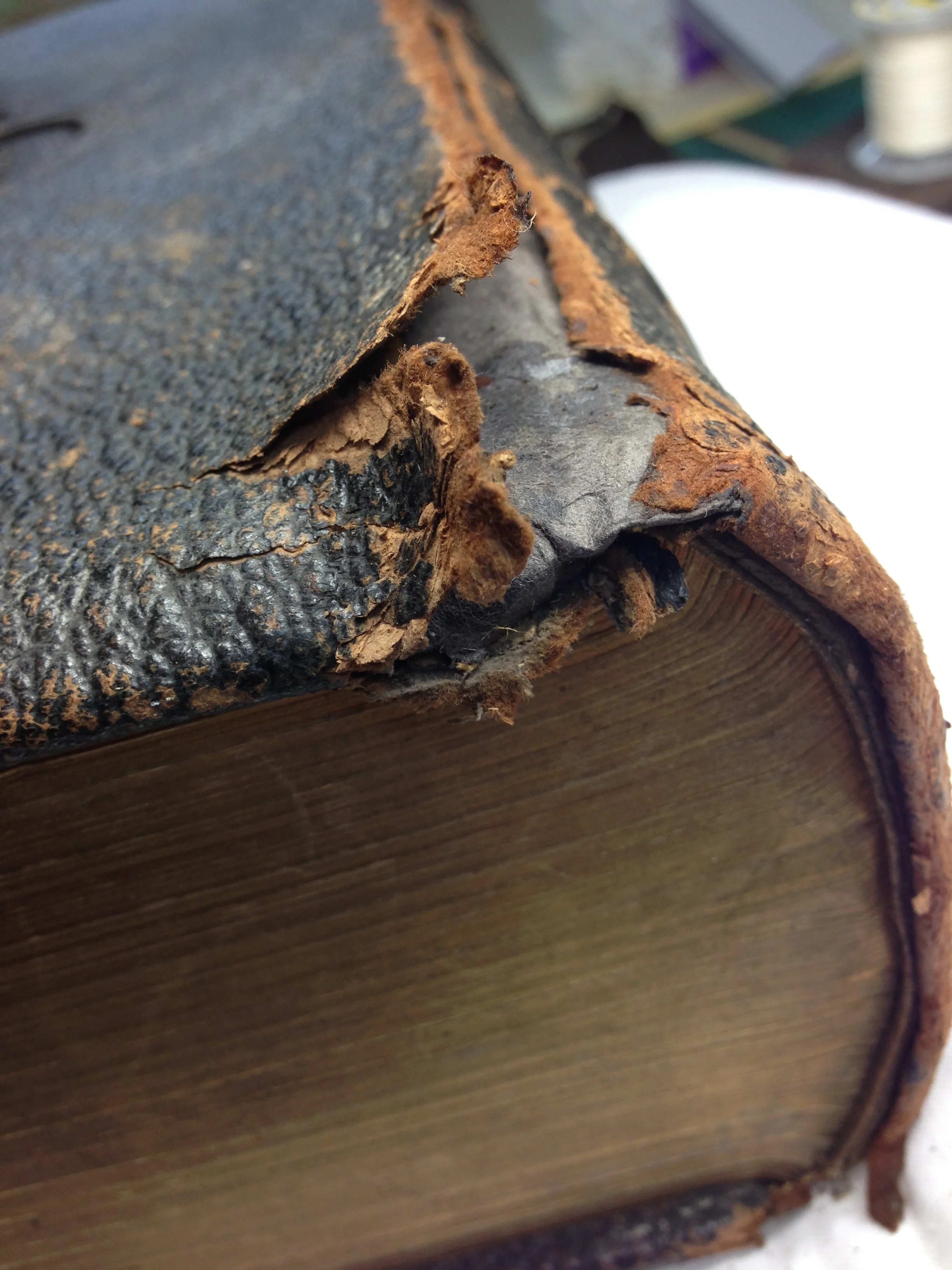 Repair & Restoration — Melbourne Book Restoration