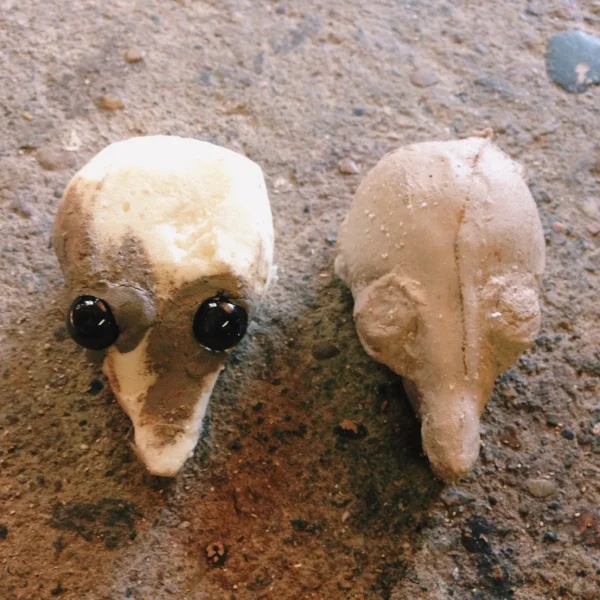 BEFORE & AFTER: FENNEC FOX — mickey alice kwapis