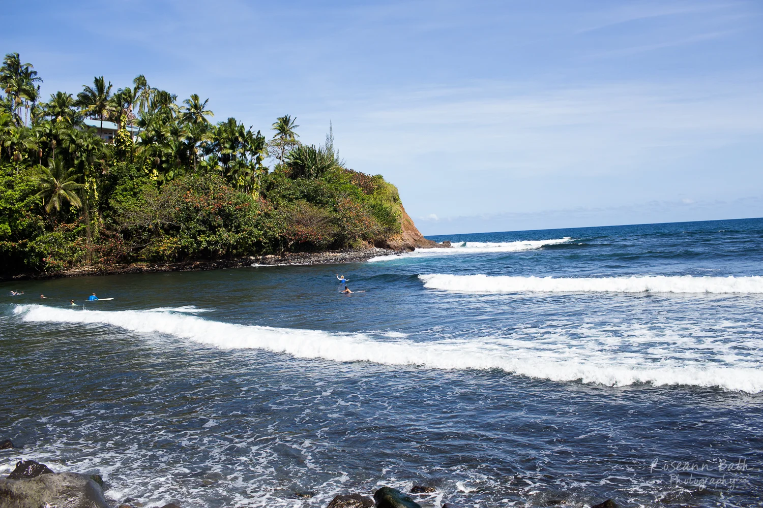 Last Days in Hilo — Roseann Bath Photography