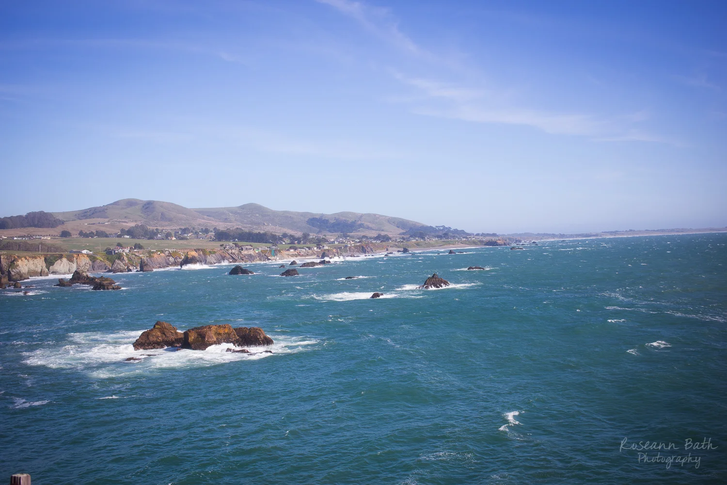 Tomales Take Two — Roseann Bath Photography