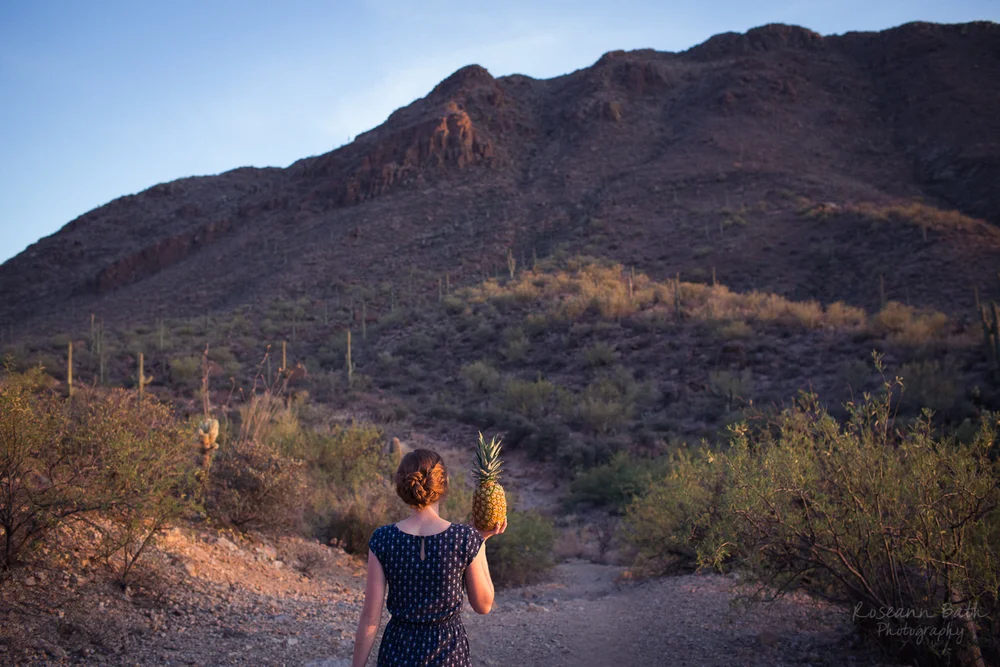 Raeann at Gates Pass // Tucson, Arizona — Roseann Bath Photography