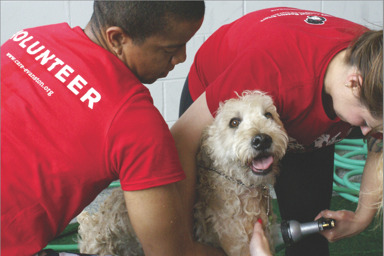 What is C.A.R.E? — C.A.R.E.™