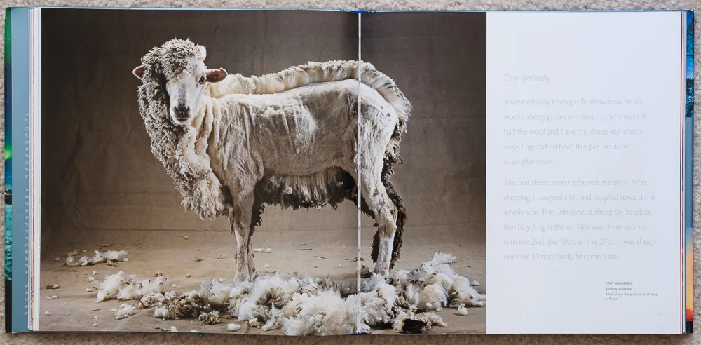 National Geographic Stunning Photographs by Annie Griffiths - Review ...