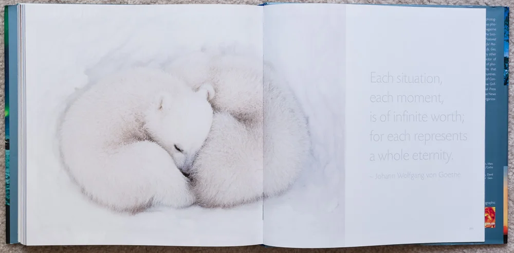 National Geographic Stunning Photographs by Annie Griffiths - Review ...