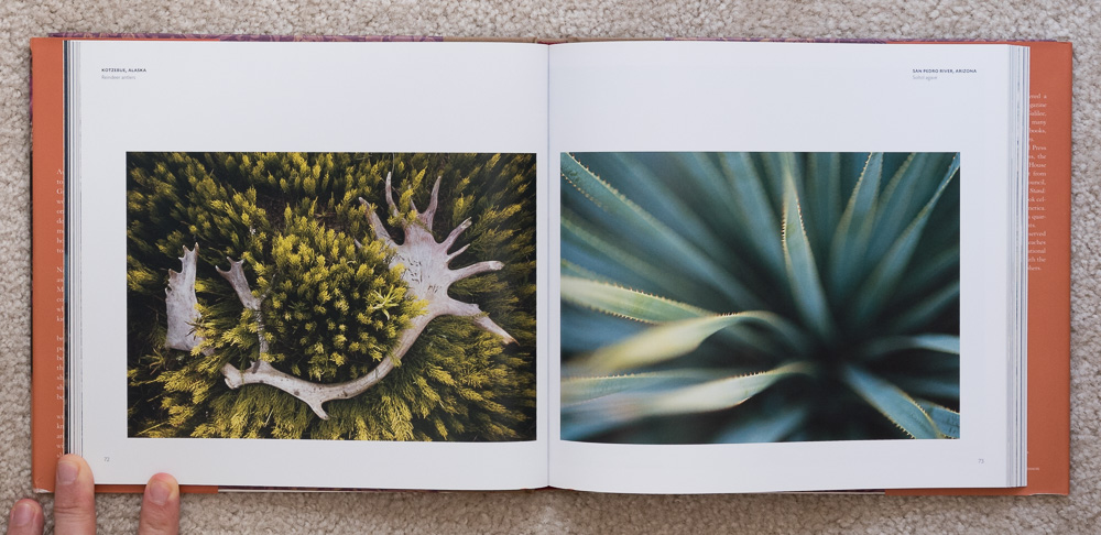 A Camera, Two Kids and a Camel: My Journey in Photographs by Annie ...