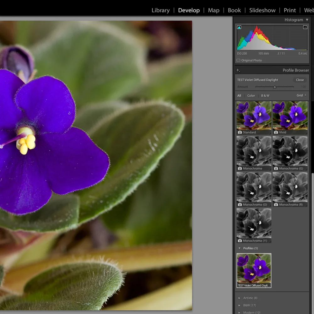 Color Correction When White Balance Isn’t Enough — Todd Henson Photography