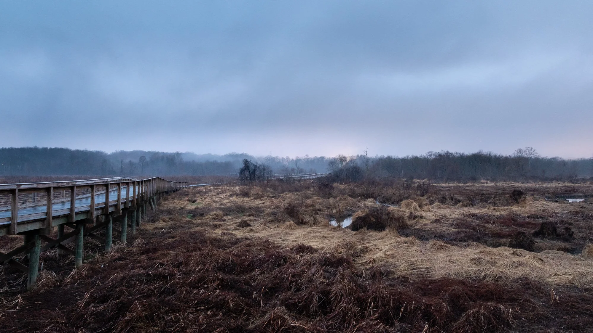 Brooding Over Morning Marshlands — Todd Henson Photography