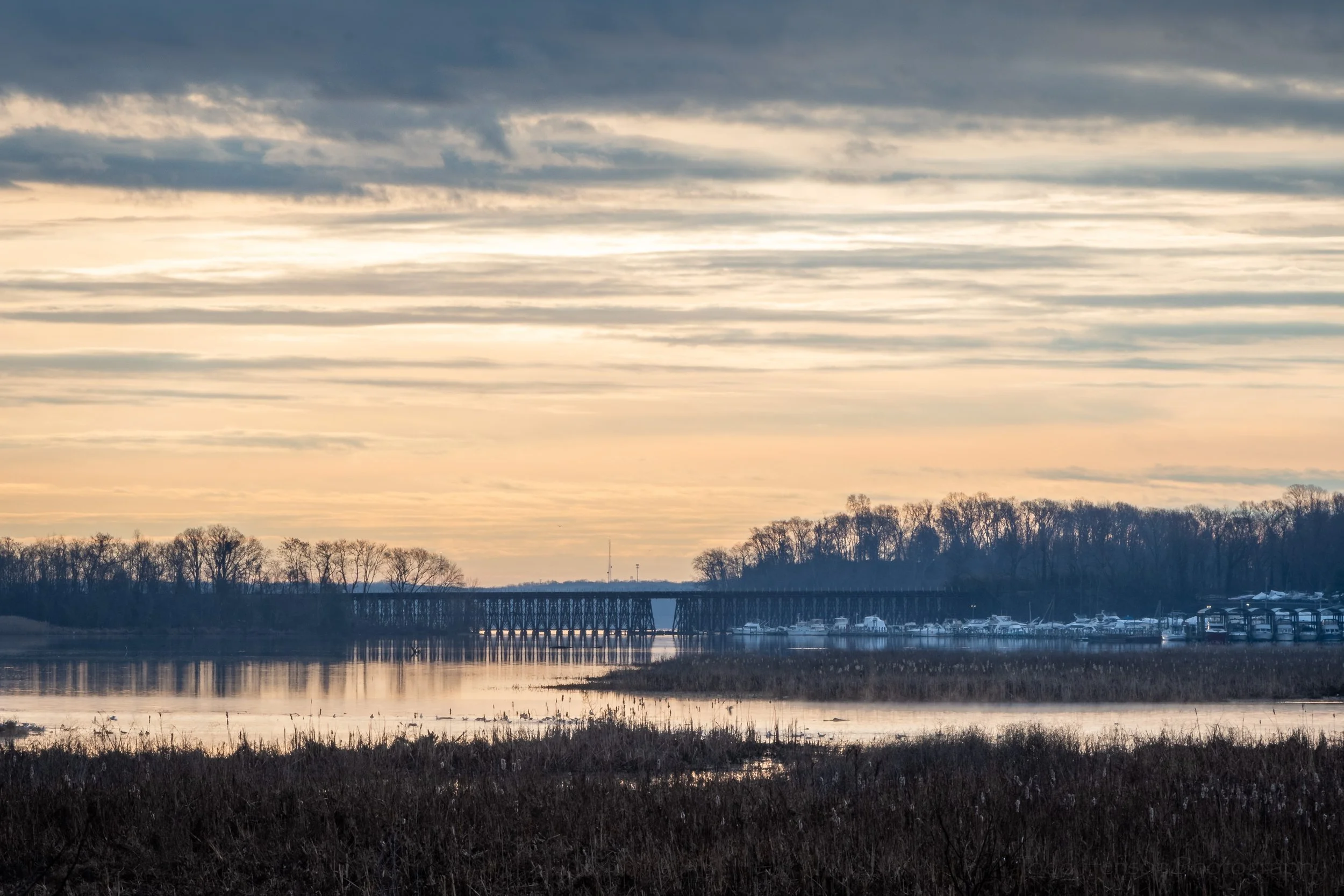 Opening Neabsco Creek Boardwalk New Years Day 2024 — Todd Henson ...