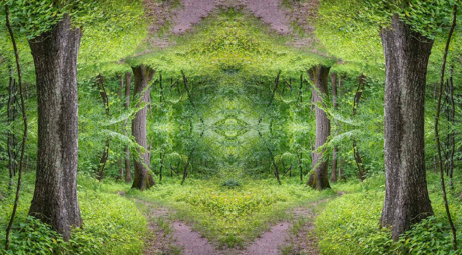 Playground of the Fae — Todd Henson Photography