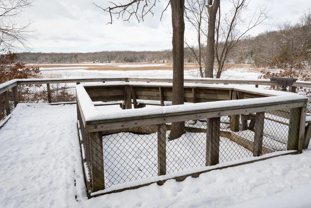 Mason Neck Great Marsh in Snow — Todd Henson Photography