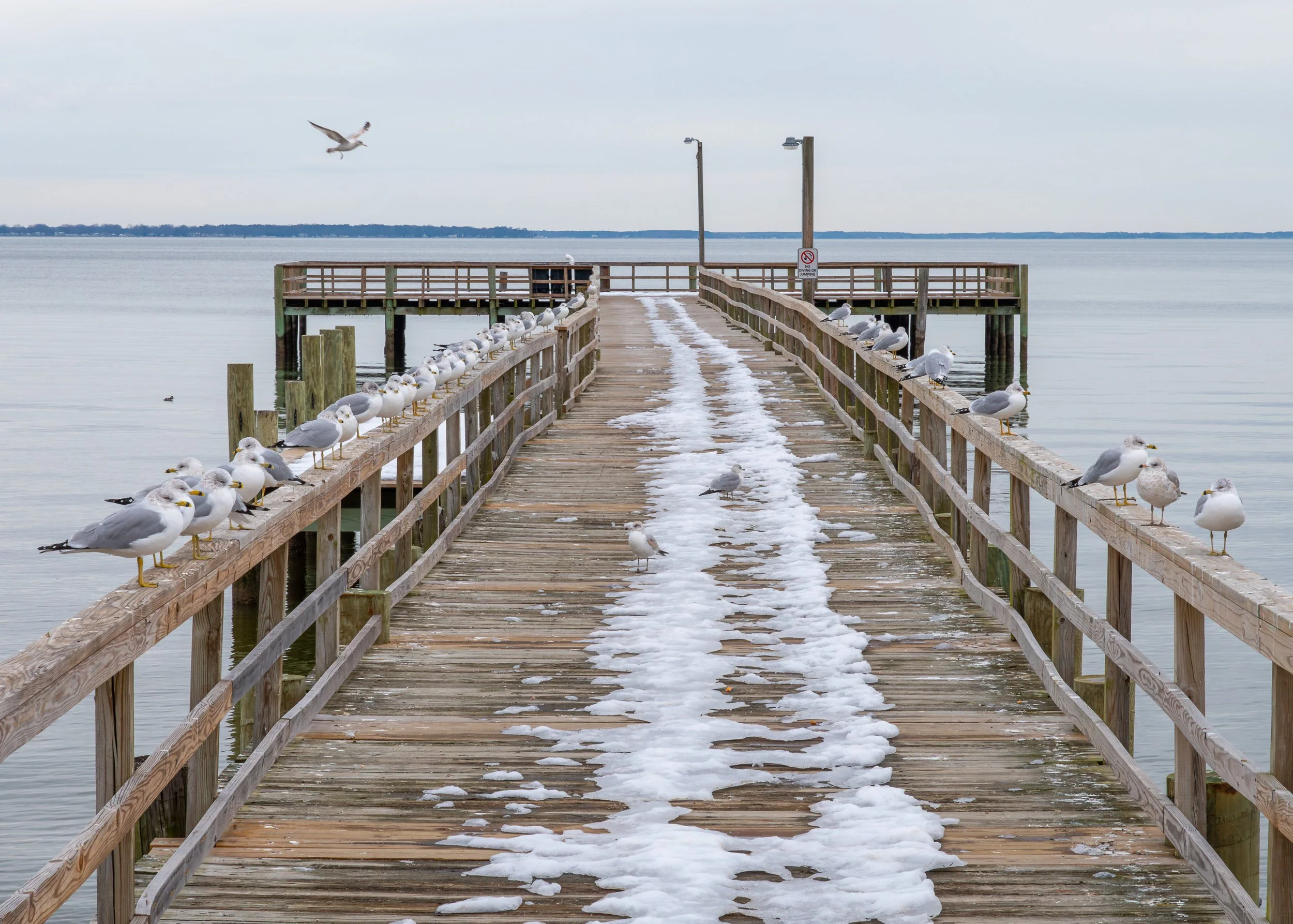 Colonial Beach in Winter — Todd Henson Photography