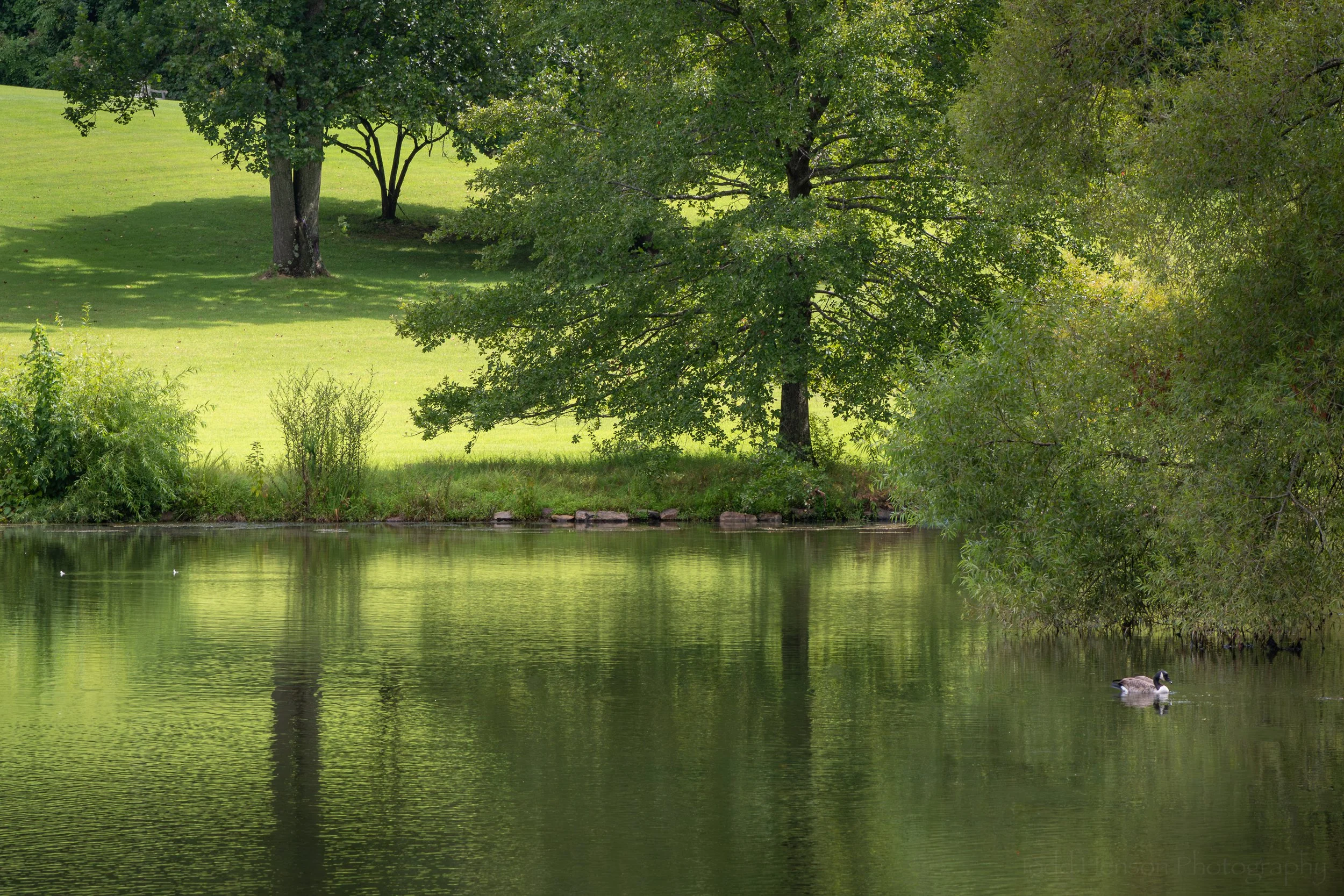 Summer Reflections Redux — Todd Henson Photography