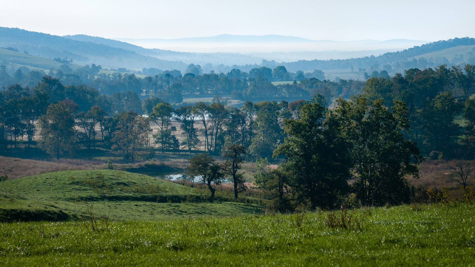 A View From Sky Meadows — Todd Henson Photography