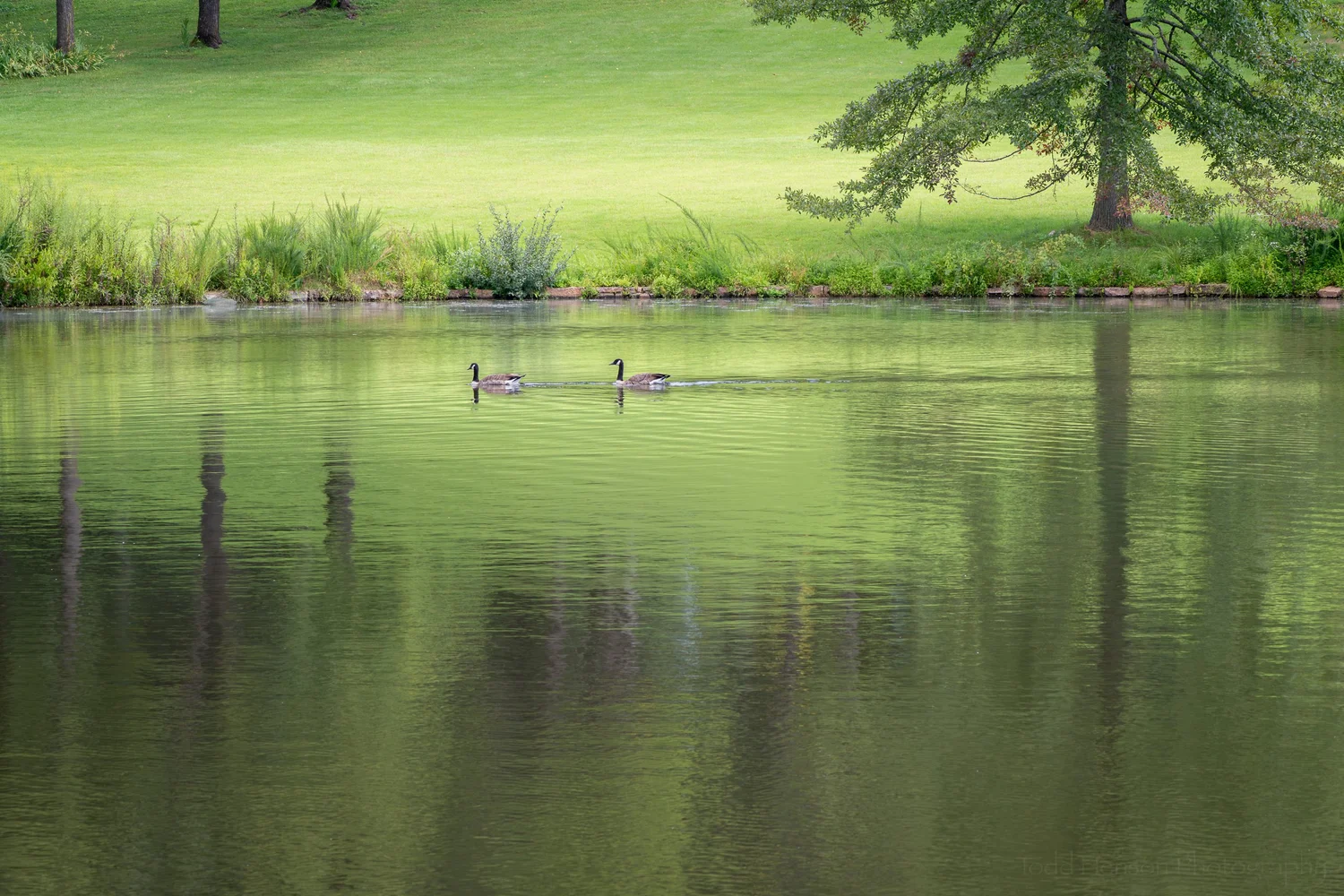Summer Reflections — Todd Henson Photography