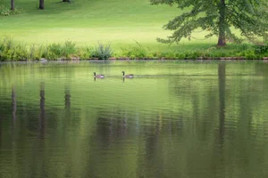Summer Reflections — Todd Henson Photography