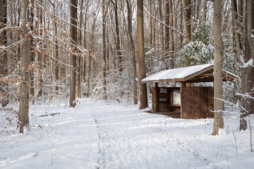 Mason Neck Great Marsh in Snow — Todd Henson Photography